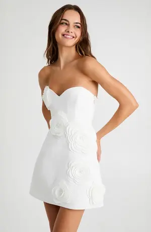 HELSI Gia Floral Appliqué Minidress - Off White