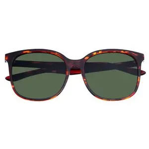 BERTHA WATCHES Avery Polarized Sunglasses - Tortoise/forest Green
