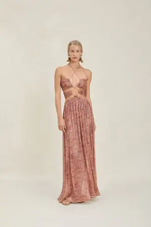 Devon Windsor Frieda Maxi Dress