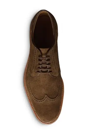 Allen Edmonds Winston Wingtip Brogue Derby - Snuff