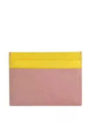 Dolce & Gabbana Dg-plaque Cardholder