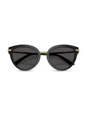 Dolce & Gabbana Logo-engraved Sunglasses