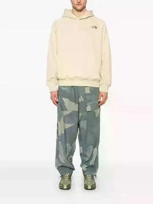 The North Face Raglan Redbox Hoodie - Neutrals