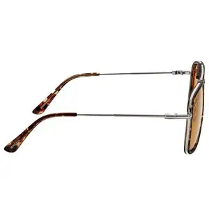 BREED Flyer Polarized Sunglasses - Tortoise/brown