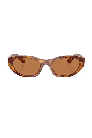 Miu Miu Oval Sunglasses - Havana Light