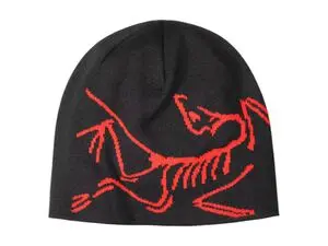 Arc'teryx Arc'teryx Lightweight Bird Head Toque Beanie Black/dynasty