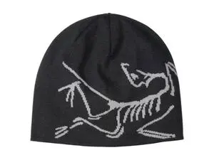 Arc'teryx Logo Hats For Men