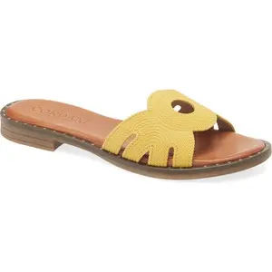 Cordani Slides Sandals For Women