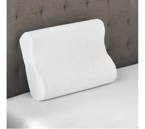 BODIPEDIC Gel Support Contour Memory Foam Bed P Illow - One-color