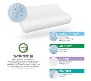 BODIPEDIC Gel Support Contour Memory Foam Bed P Illow