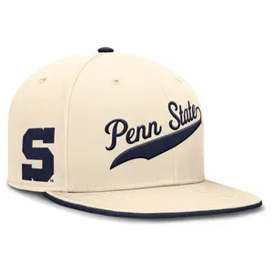 Nike Penn State Nittany Lions Primetime True Dri-fit College Fitted Baseball Cap - Brown