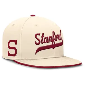 Nike Stanford Cardinal Primetime True Dri-fit College Fitted Cap - Brown