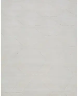 EXQUISITE RUGS Brunello Modern 6735 Area Rug, 4' X 6