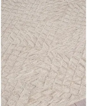 EXQUISITE RUGS Sandro 7150 Area Rug, 4' X 6