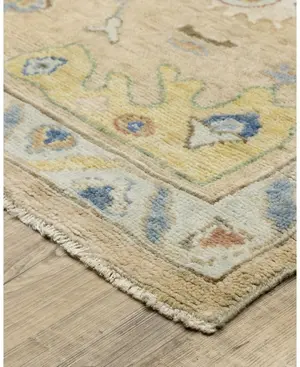 ORIENTAL WEAVERS Palace 10310 Area Rug, 2' X 3