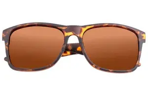 SIXTY ONE Solaro Polarized Wayfarer Sunglasses - Tortoise/brown
