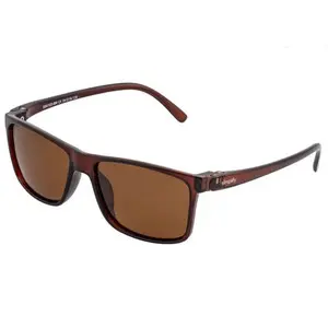 SIMPLIFY Ellis Sunglasses - Brown/brown