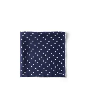Prada Printed Silk Twill Scarf 65 - Blue