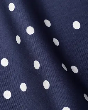 Prada Printed Silk Twill Scarf 65 - Blue