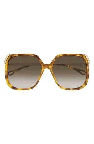 Chloé 60mm Gradient Square Sunglasses - Havana Brown