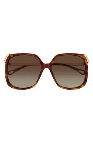 Chloé Chloé 60mm Gradient Square Sunglasses Havana