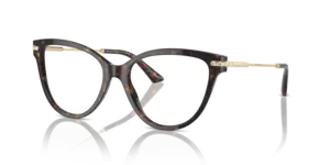 JIMMY CHOO Jc3001b Eyeglasses - Havana