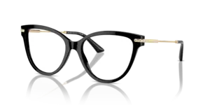 JIMMY CHOO Jimmy Choo JC3001B Eyeglasses Noir