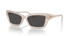 JIMMY CHOO Jimmy Choo Square Frame Sunglasses Sable Opalescent
