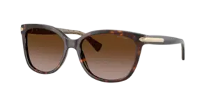 COACH Acetate Cat Eye Sunglasses - Dark Tortoise