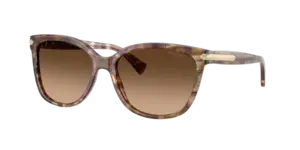 COACH Acetate Cat Eye Sunglasses - Tortoise