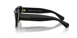 Tiffany & Co. Cat Eye Sunglasses - Black
