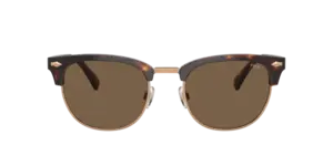 Polo Ralph Lauren Sunglasses - Shiny Brown Tortoise