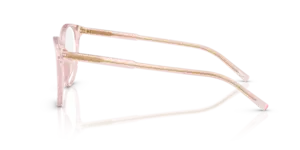 Dolce & Gabbana Butterfly Eyeglasses - Transparent Rose