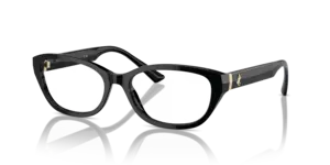 JIMMY CHOO Jimmy Choo JC3015 Eyeglasses Noir