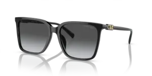 Michael Kors Mk2197u Sunglasses - Noir