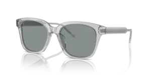 Giorgio Armani Giorgio Armani AR8210U Transparent Gris