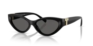 Tiffany & Co. Tf4225u Sunglasses - Noir