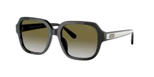 COACH Rectangle Sunglasses - Black