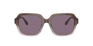 COACH Rectangle Sunglasses - Transparent Brown Gradient