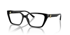 JIMMY CHOO Jimmy Choo JC3008 Eyeglasses Noir