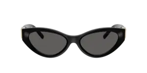 Tiffany & Co. Sunglasses - Black