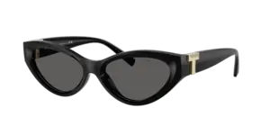 Tiffany & Co. Tiffany & Co. Oval Sunglasses Noir