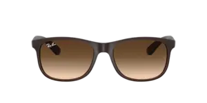 Ray-ban Sunglasses Wayfarer Square Frame Brown