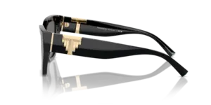 Tiffany & Co. Cat-eye Frame - Black
