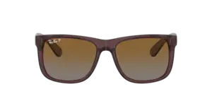 Ray-ban Ray-Ban Justin Classic Sunglasses Transparent Dark Brown