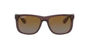 Ray-ban Ray-Ban Square Frame Sunglasses Transparent Dark Brown