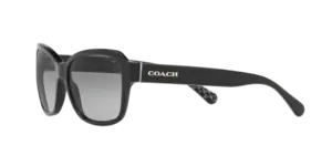 COACH Coach Hc8232 Sunglasses Black