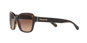 COACH Hc8232 Sunglasses - Dark Tortoise