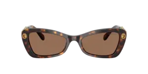 SWAROVSKI Irregular Sunglasses - Havana
