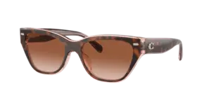 COACH Hc8370u Sunglasses - Tortoise,transparent Pink